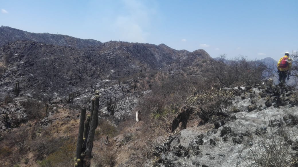 Protección Ciudadana colabora para sofocar el incendio del Cerro Pucará ...