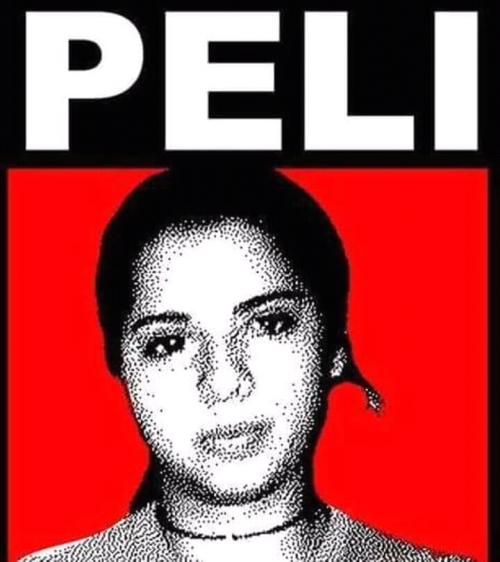 En redes invitan a compartir la imagen de Peli Mercado