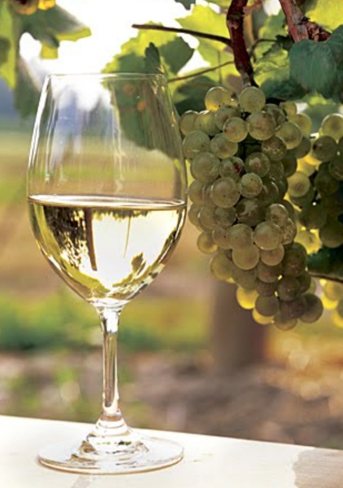 En cooperativa La Riojana hablan de la reinvención del Torrontés Riojano