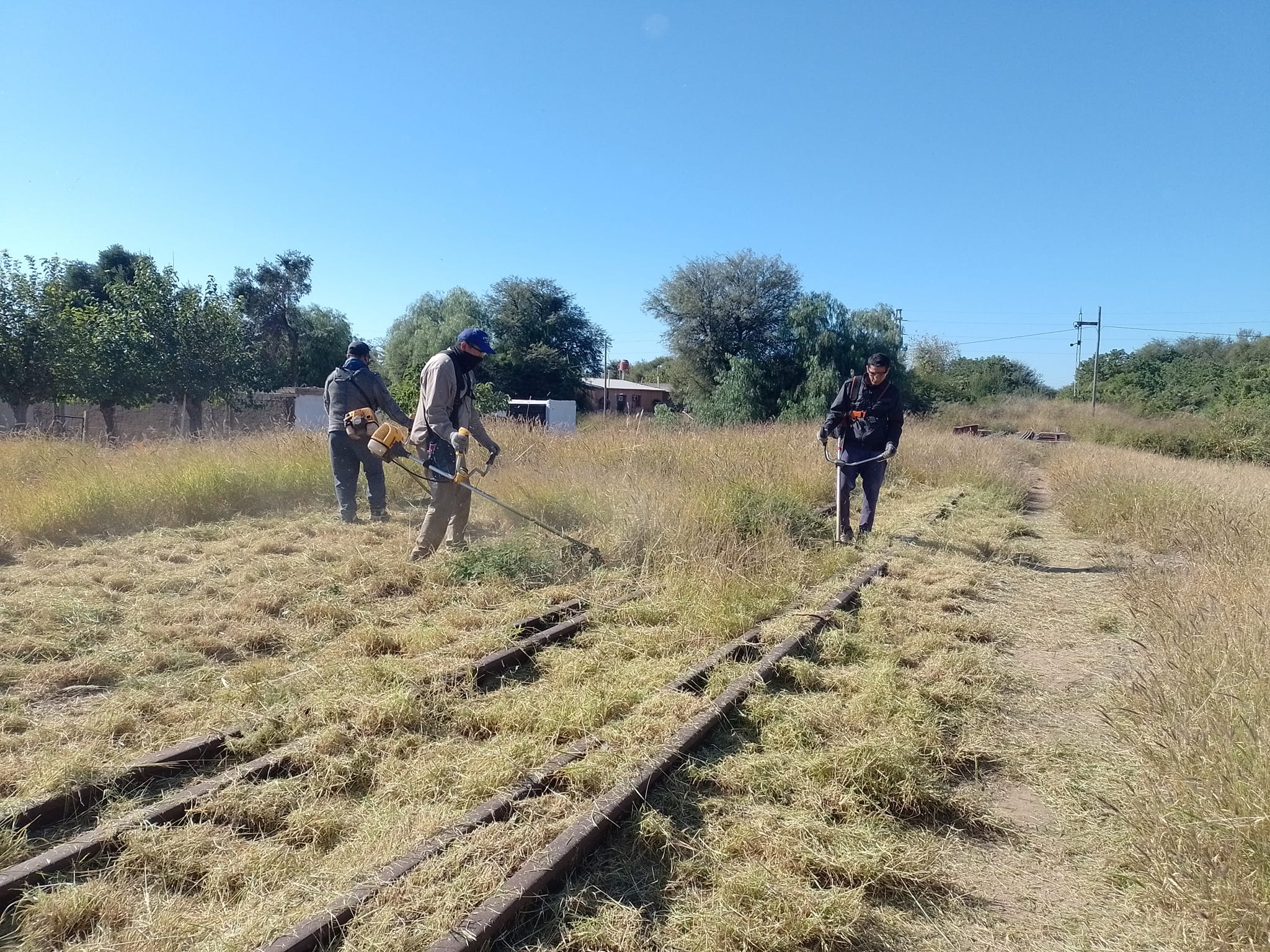 Realizaron operativos de desmalezado en la ciudad de Chamical