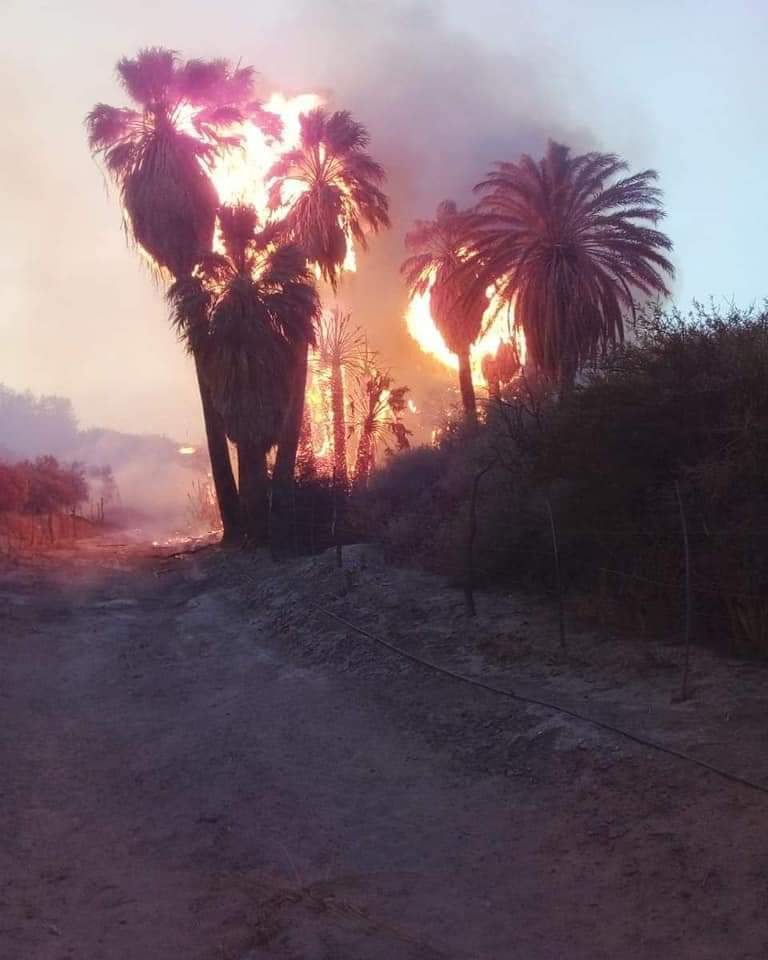 Lograron controlar un incendio de gran magnitud en Aimogasta